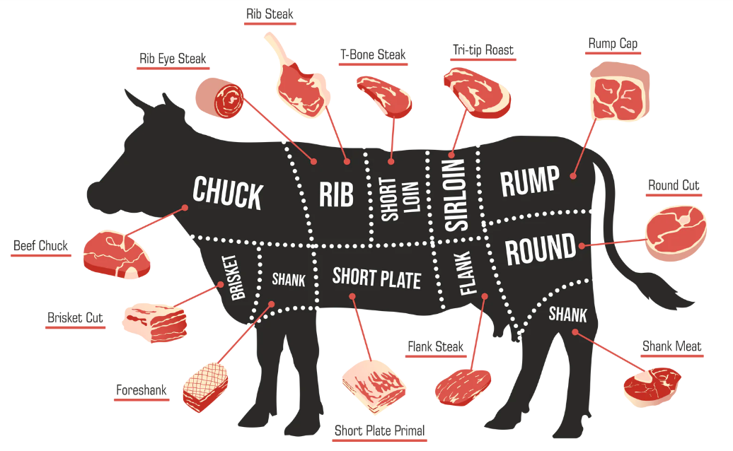 Types Of Beef Cuts And Popular Steak Cuts - Restaurant